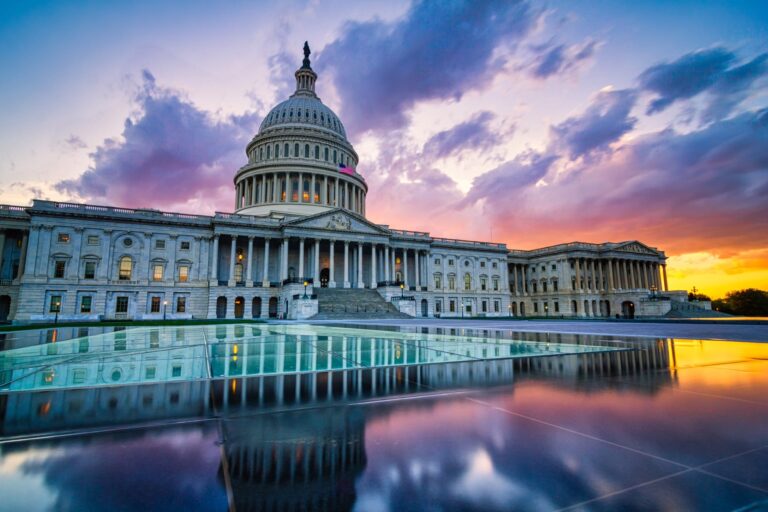 Majoritarian vs. Consensus Democracies: Comparing the UK and US ...